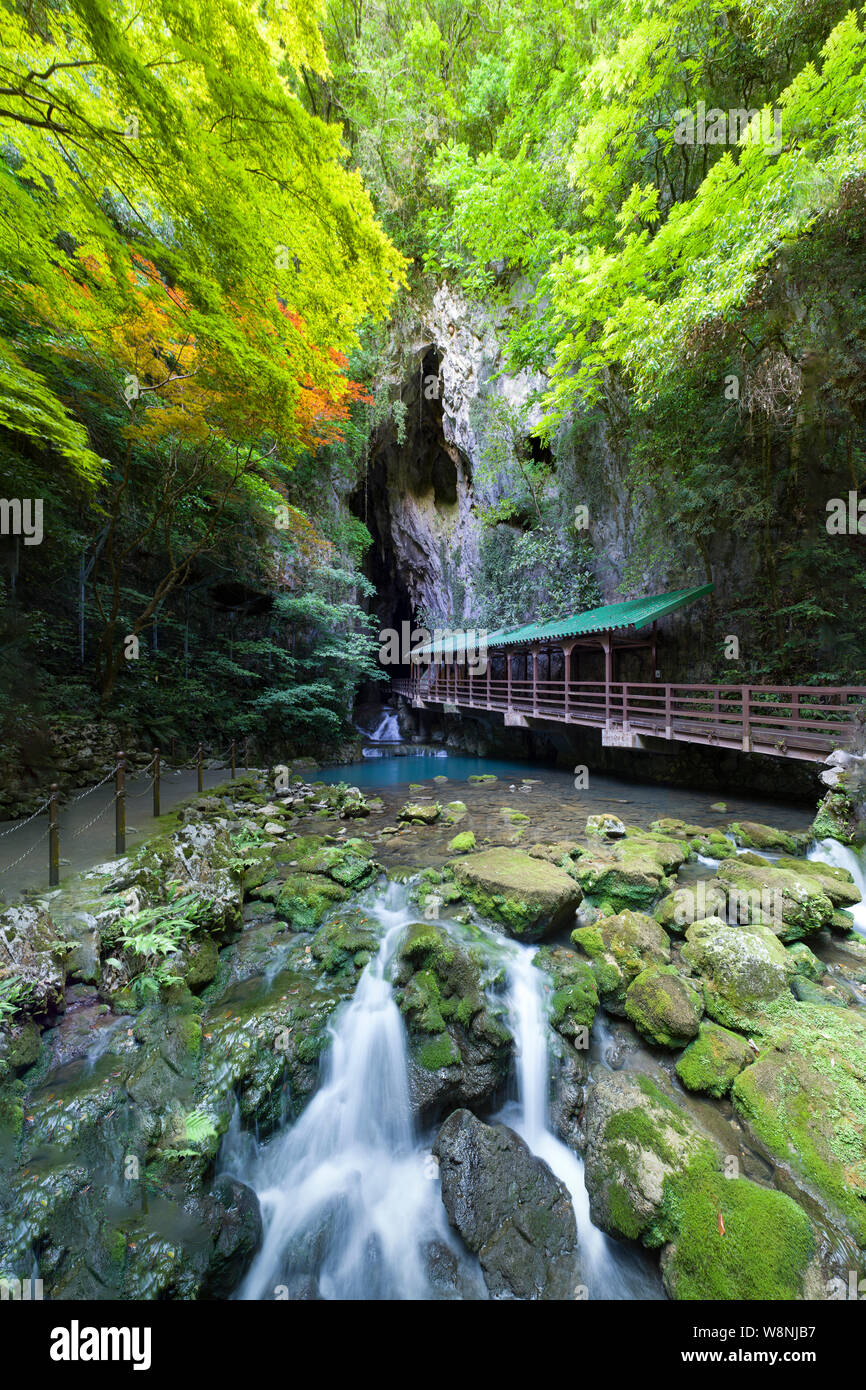 Cave entrance spring water trees hi-res stock photography and images ...