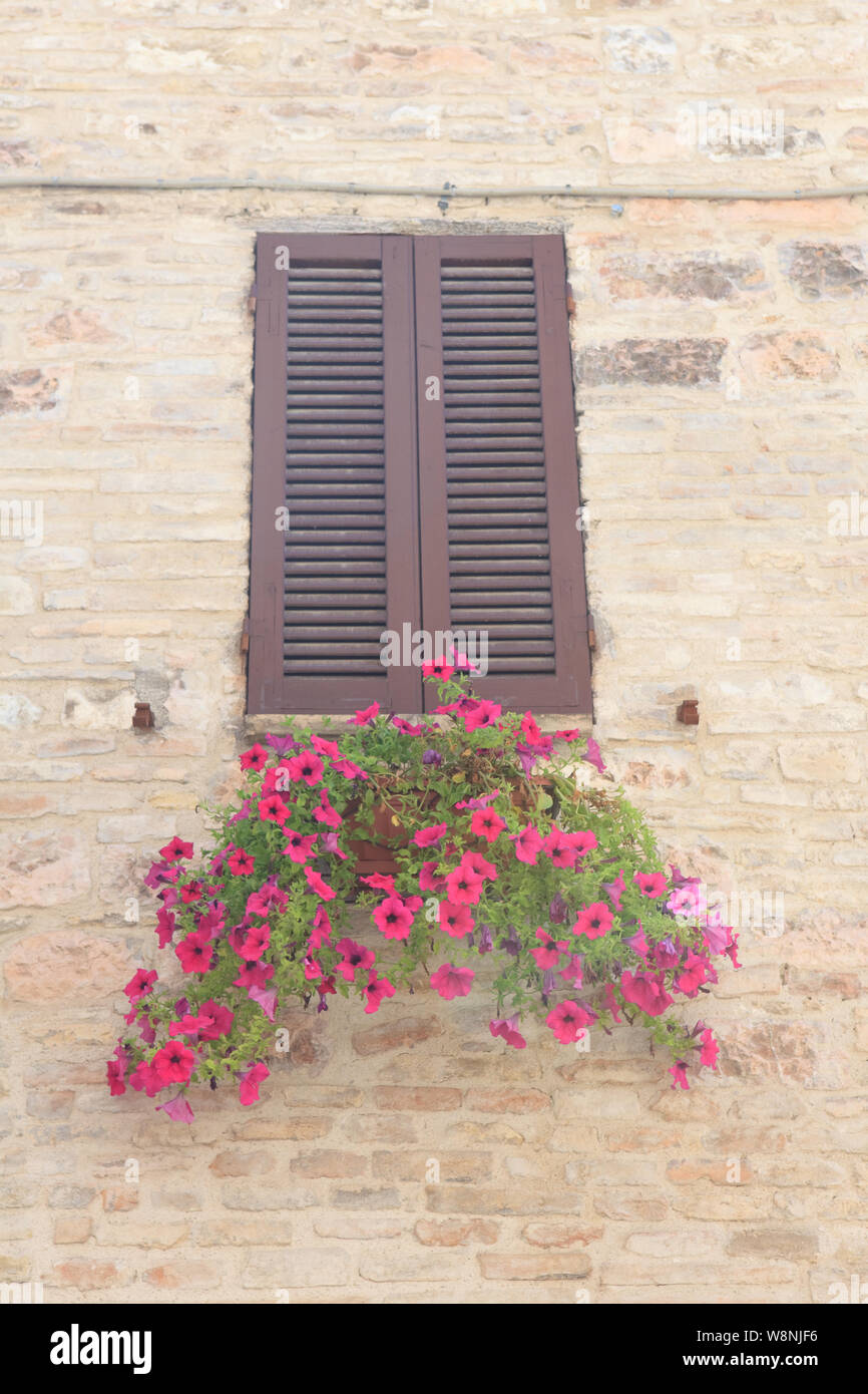 Wooden Window Shutter on an Italian Building, Assissi, Italy Stock ...