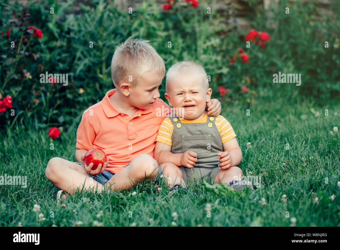 Two brothers sitting together on grass in park outside sharing apple ...