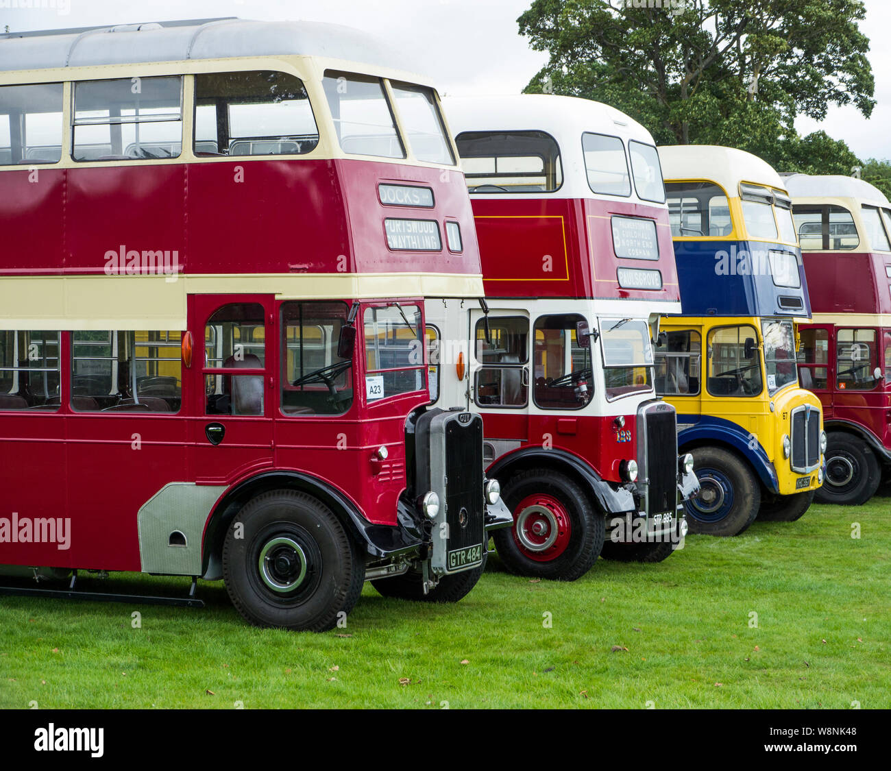 Line of buses at Alton Bus Rally & Running Day 2019 Stock Photo - Alamy