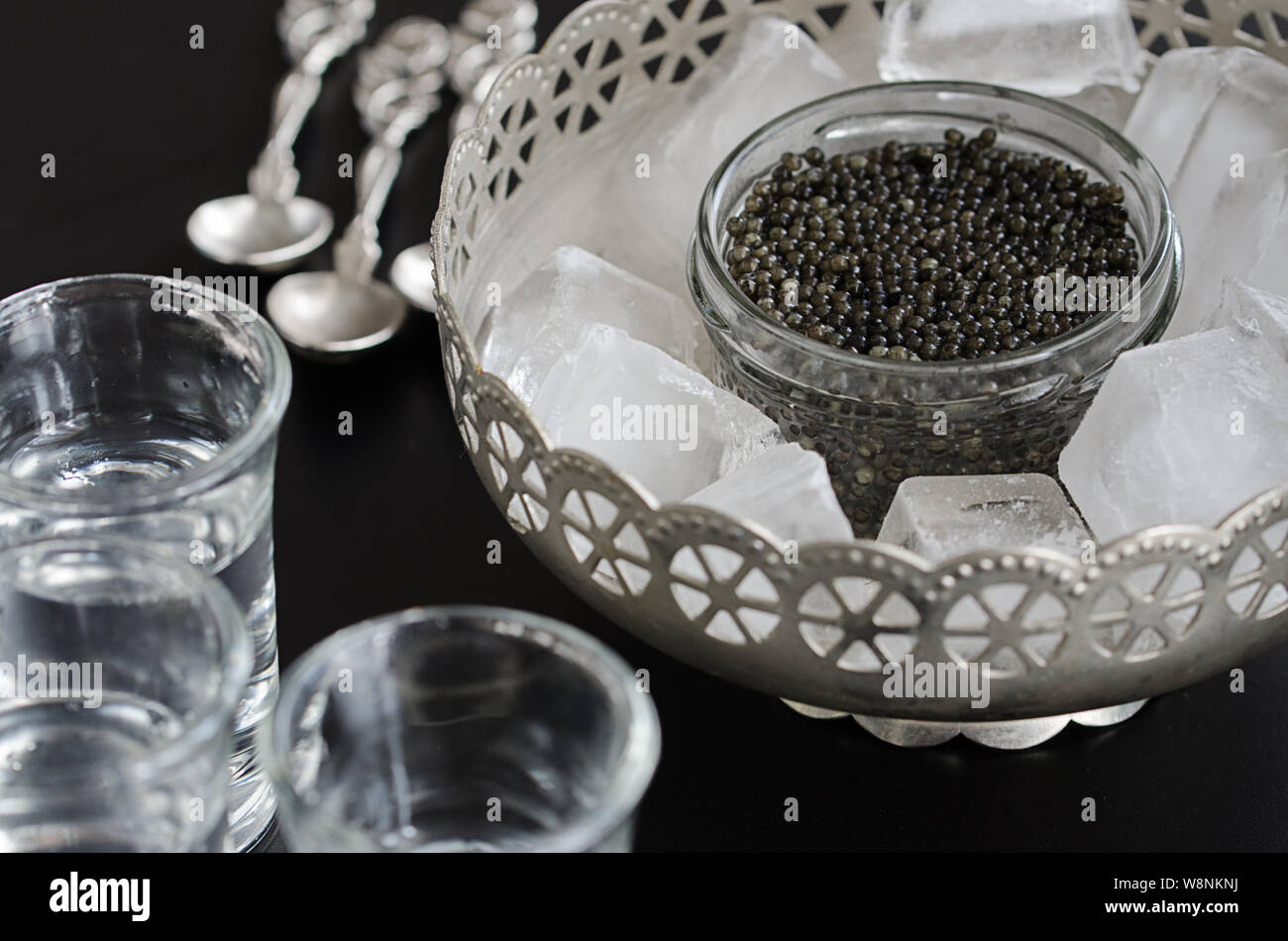 Russian beluga caviar served in silver bowl with ice and vodka. Black ...