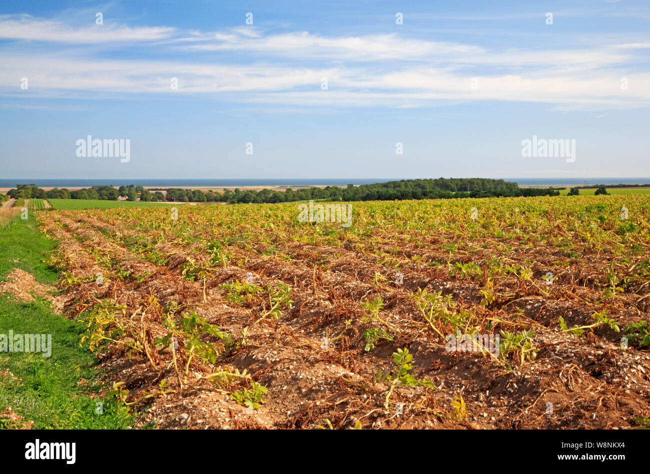 Prevent vigorous growth hi-res stock photography and images - Alamy