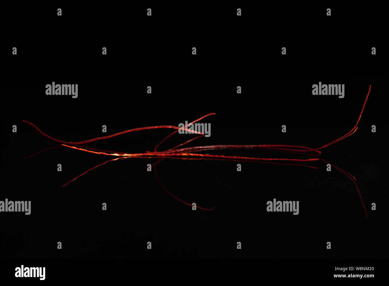 Two glass threads hi-res stock photography and images - Alamy