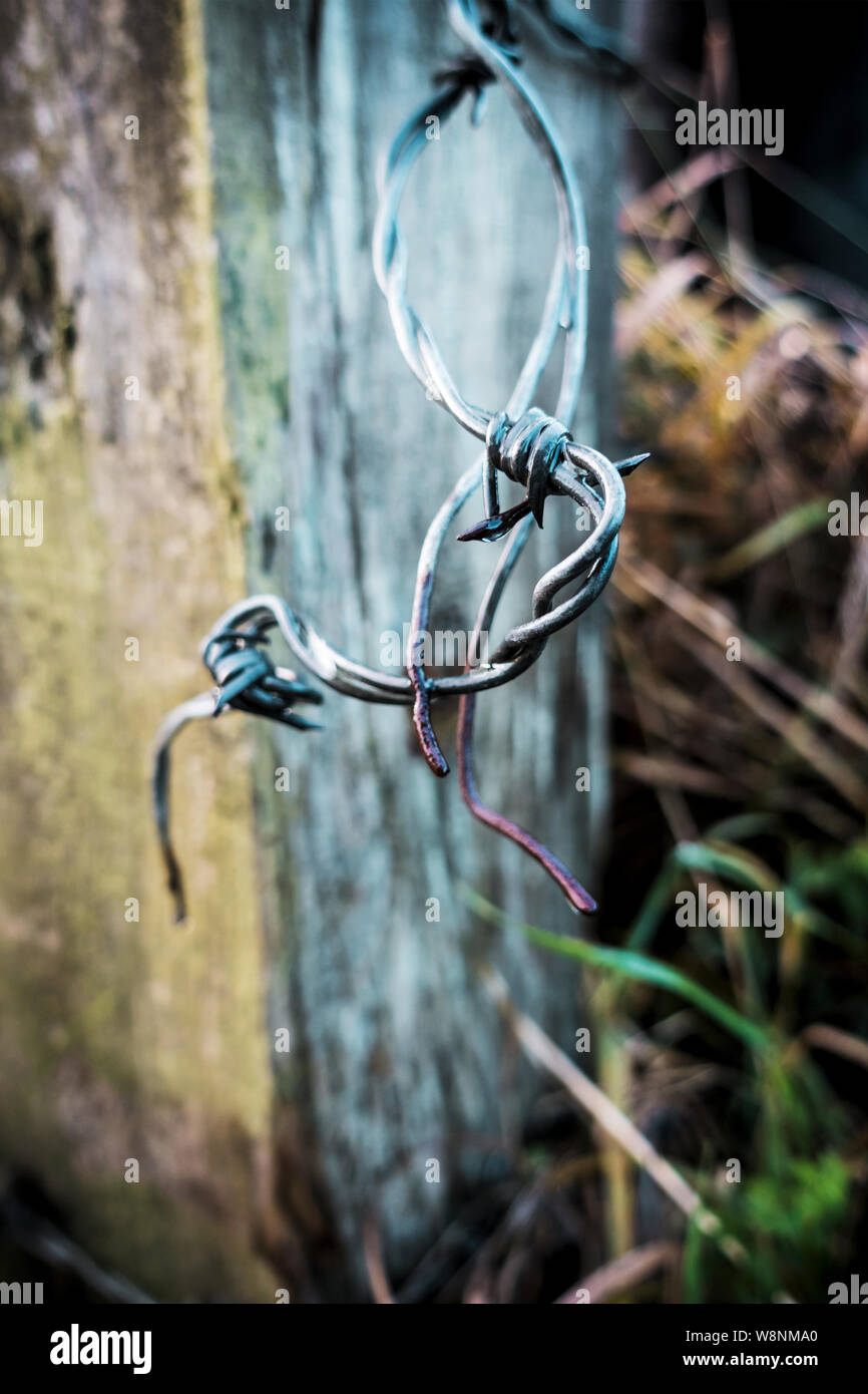 Old fence posts barbed wire hi-res stock photography and images - Alamy