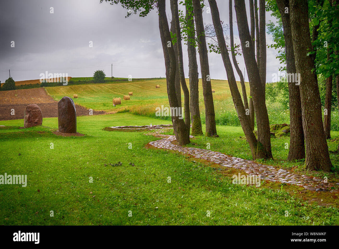 Rustic footpath of natural stone meandering through lush green grass ...