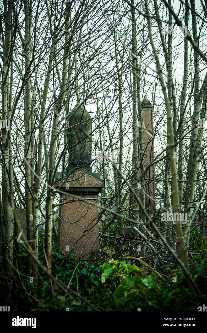 Tall marble monuments in a graveyard, surrounded and overgrown by trees ...