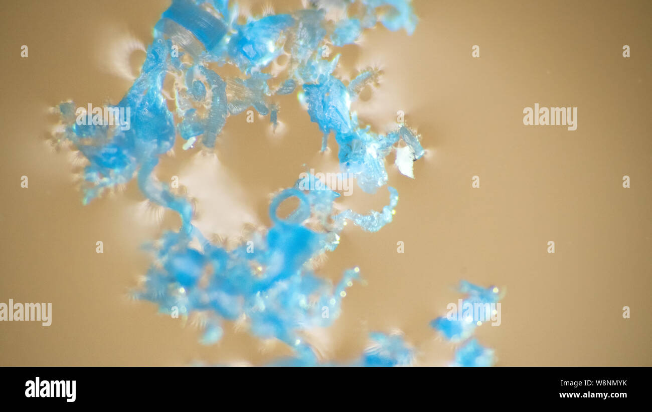 Microparticles of plastic in aquatic environment. Macro shooting of ...