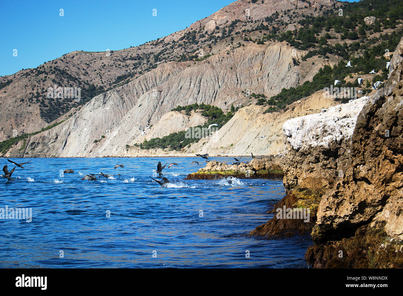 Rock outlier on background of mountains without forests, which are ...