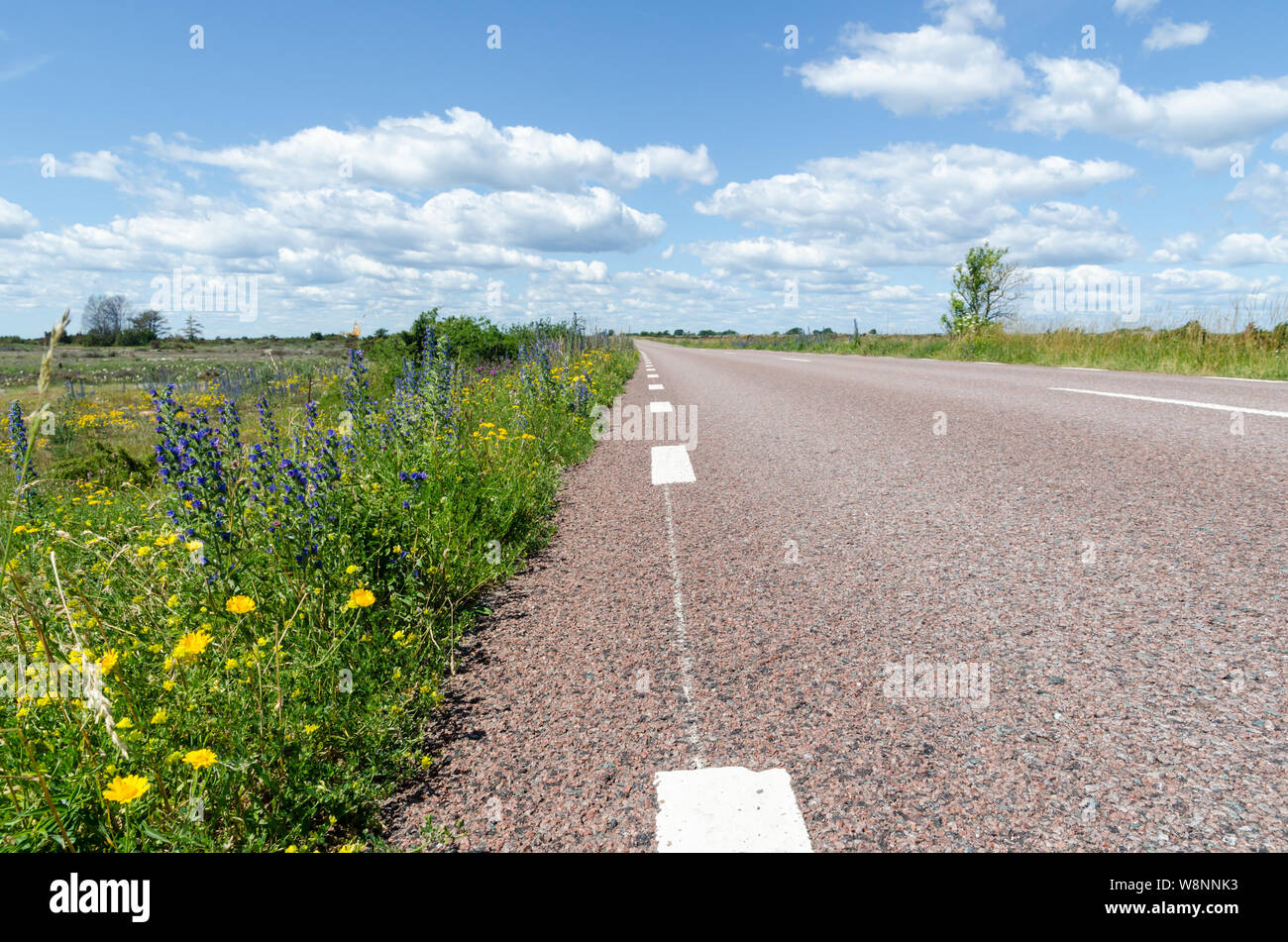 Wind from the side hi-res stock photography and images - Alamy