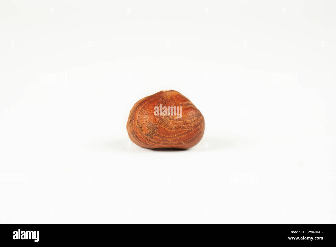 Hazelnut macro view hi-res stock photography and images - Alamy
