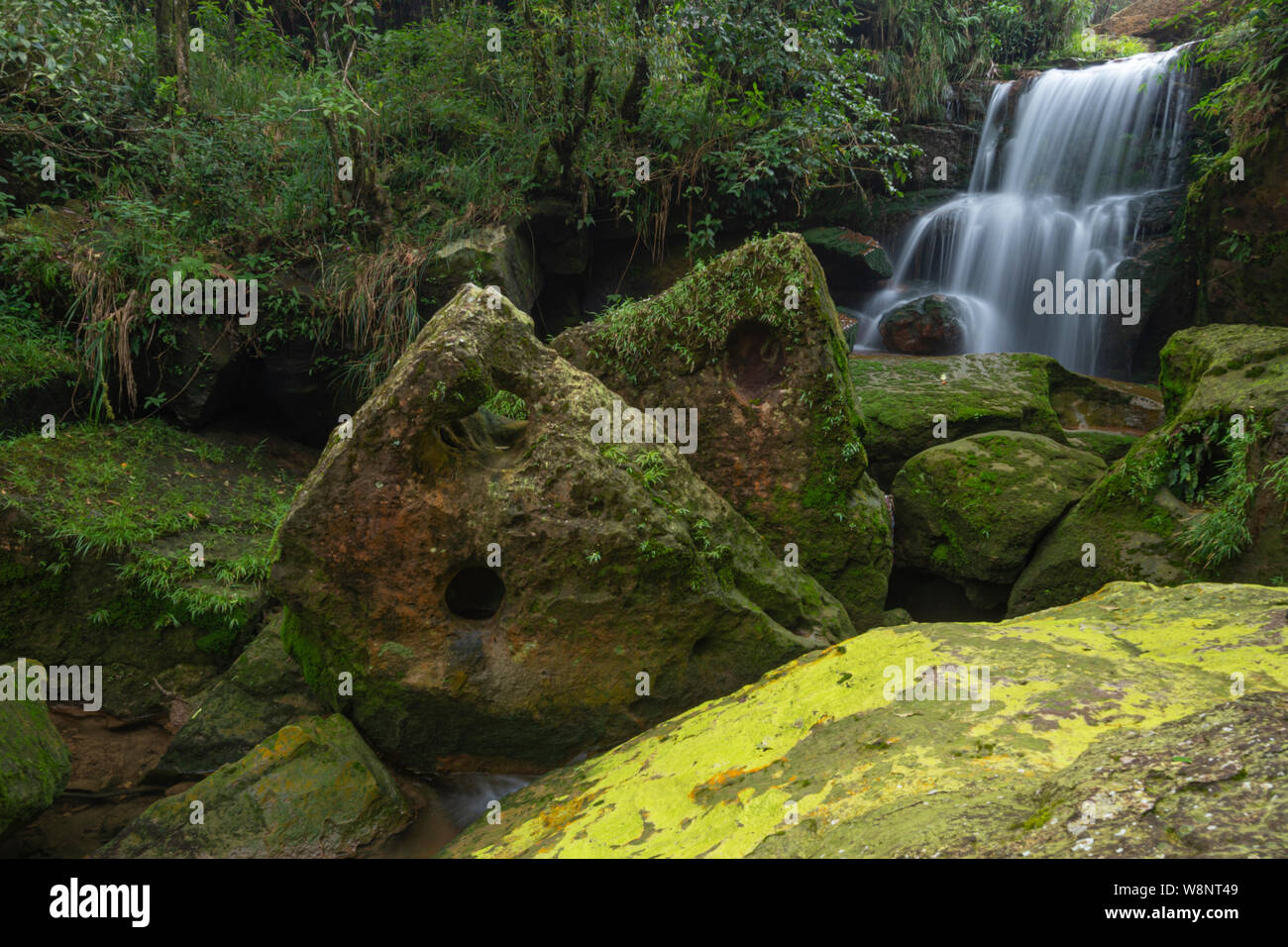Waterfall in Garden of cave, Cherrapunjee,Meghalaya,India Stock Photo ...