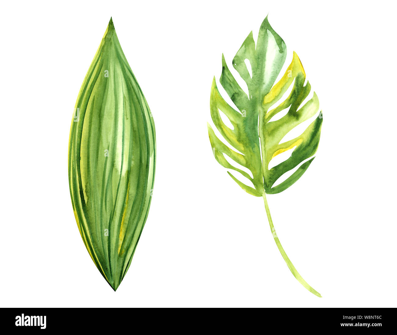 Exotic tropical forest painting hi-res stock photography and images - Alamy