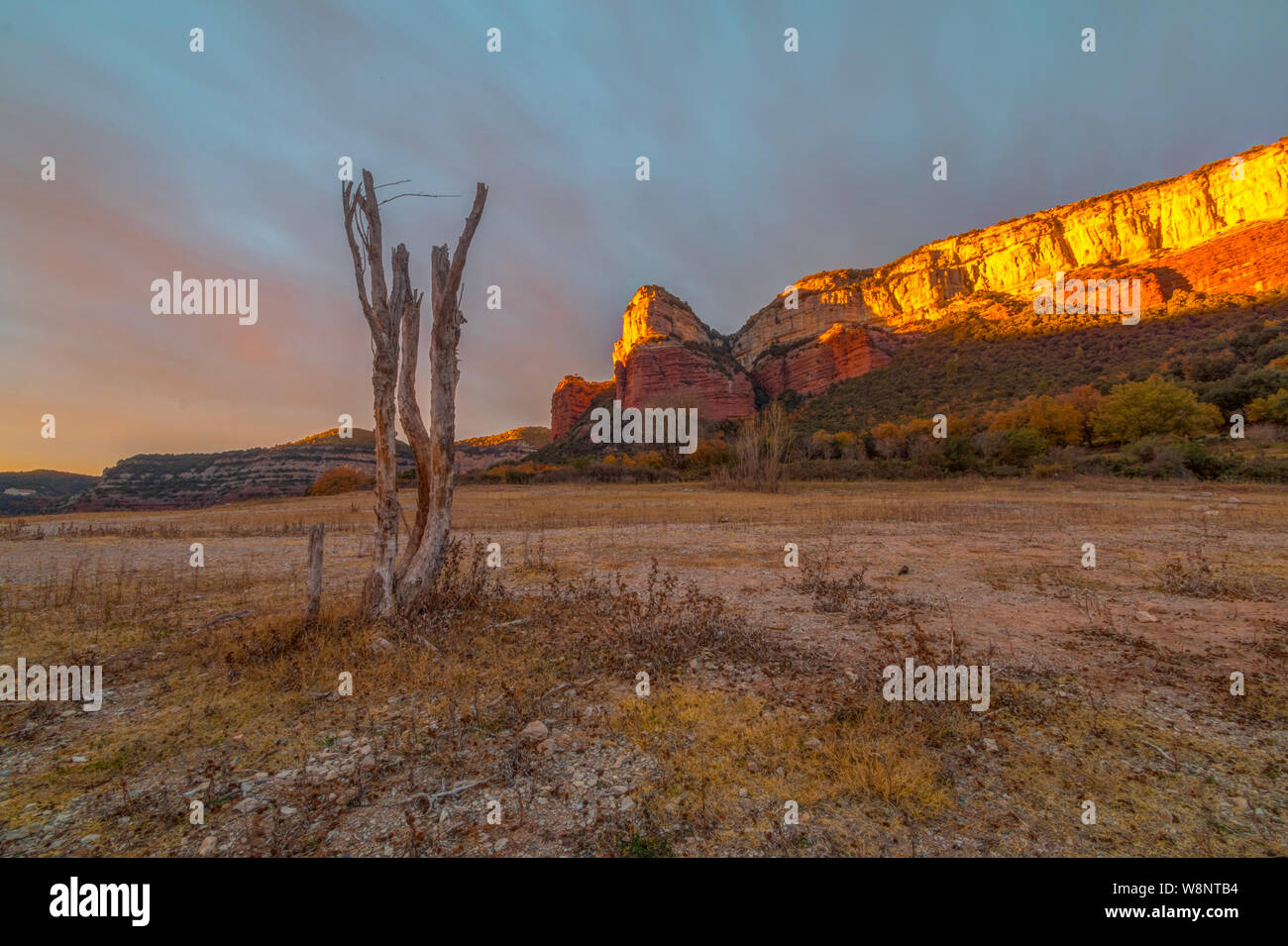 Panta sau hi-res stock photography and images - Alamy