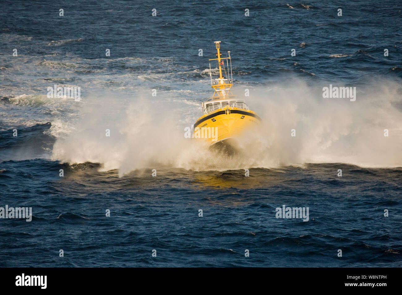 Pilot Boat in action Stock Photo - Alamy