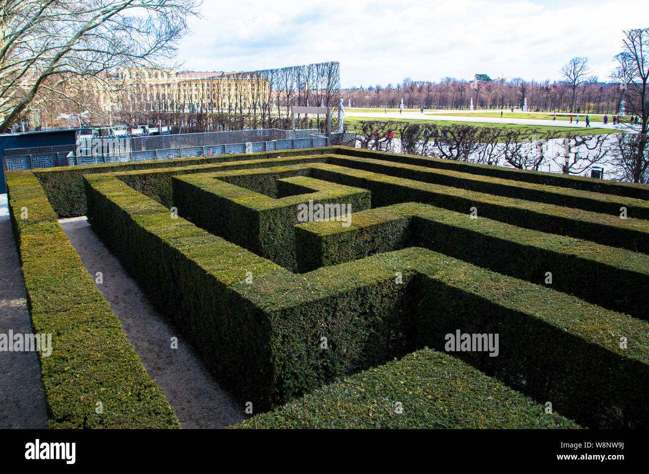 green labyrinth in schoenbrun bushes plants Stock Photo - Alamy