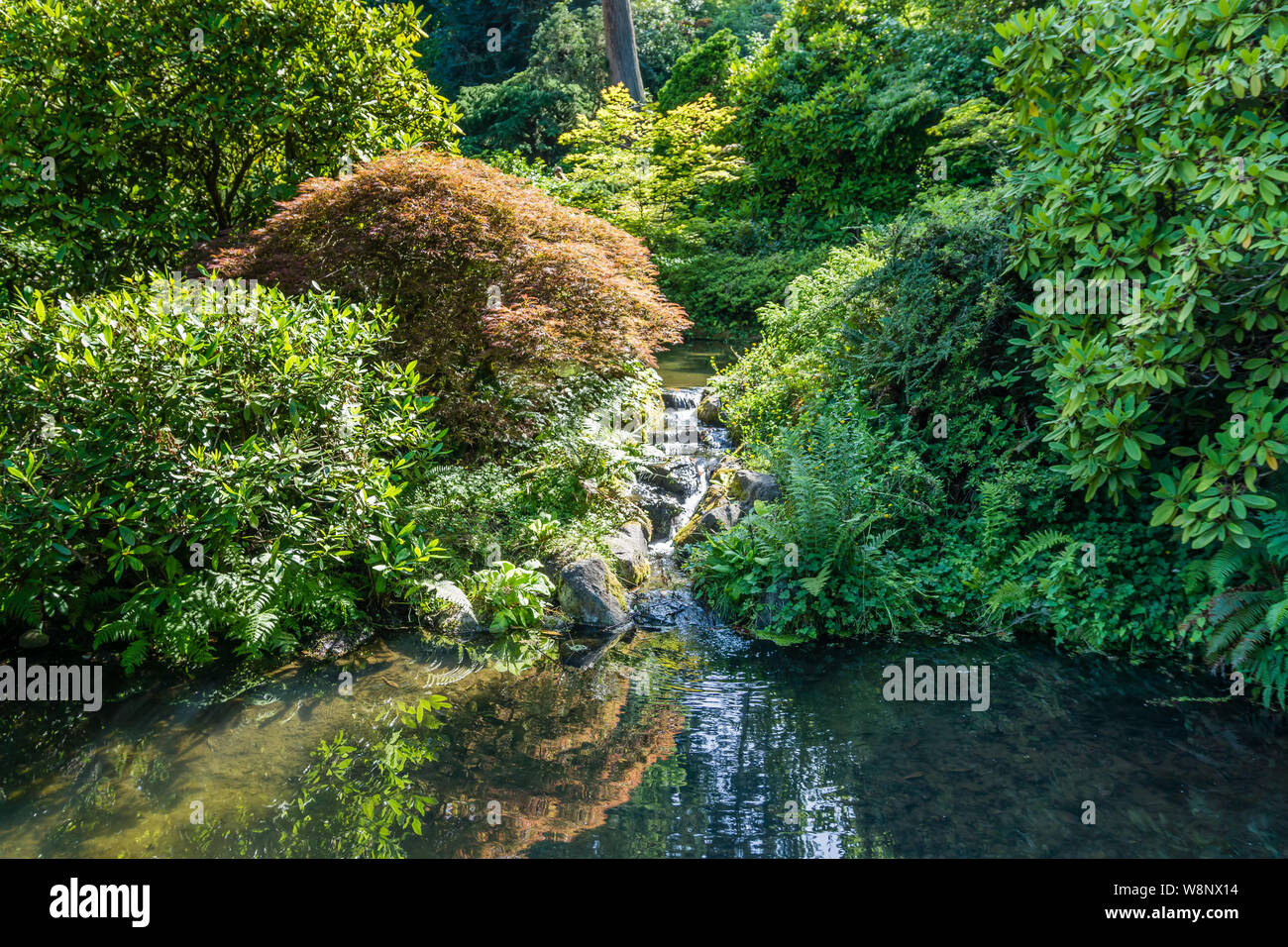Water flows inton a pond at a garden in Renton, Washington Stock Photo ...