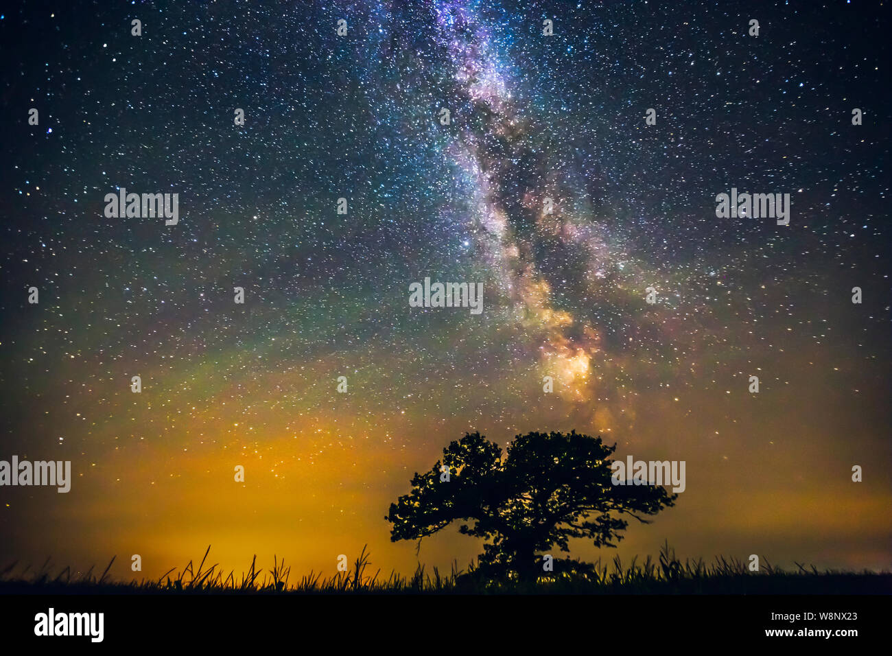 Landscape with Milky way galaxy over the oak tree Stock Photo - Alamy