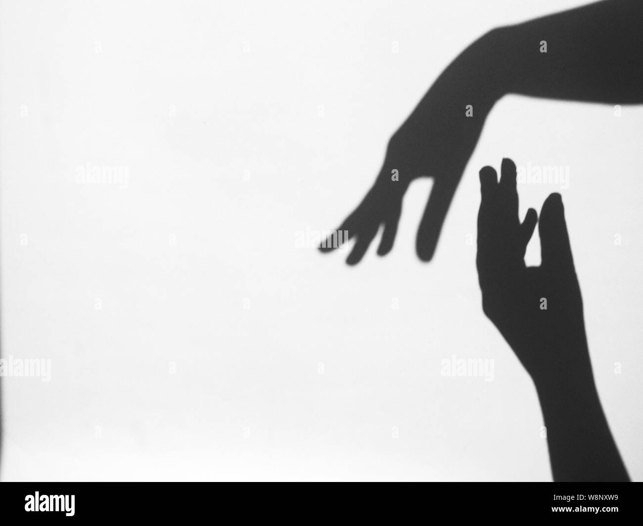 two women's hands reach for each other. Helping hand silhouette, female ...