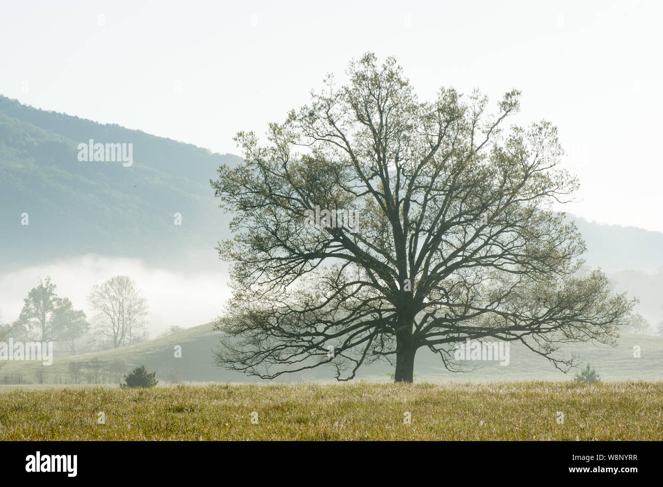 Mist and smoke rises from the hills at sunset at the Great Smoky ...