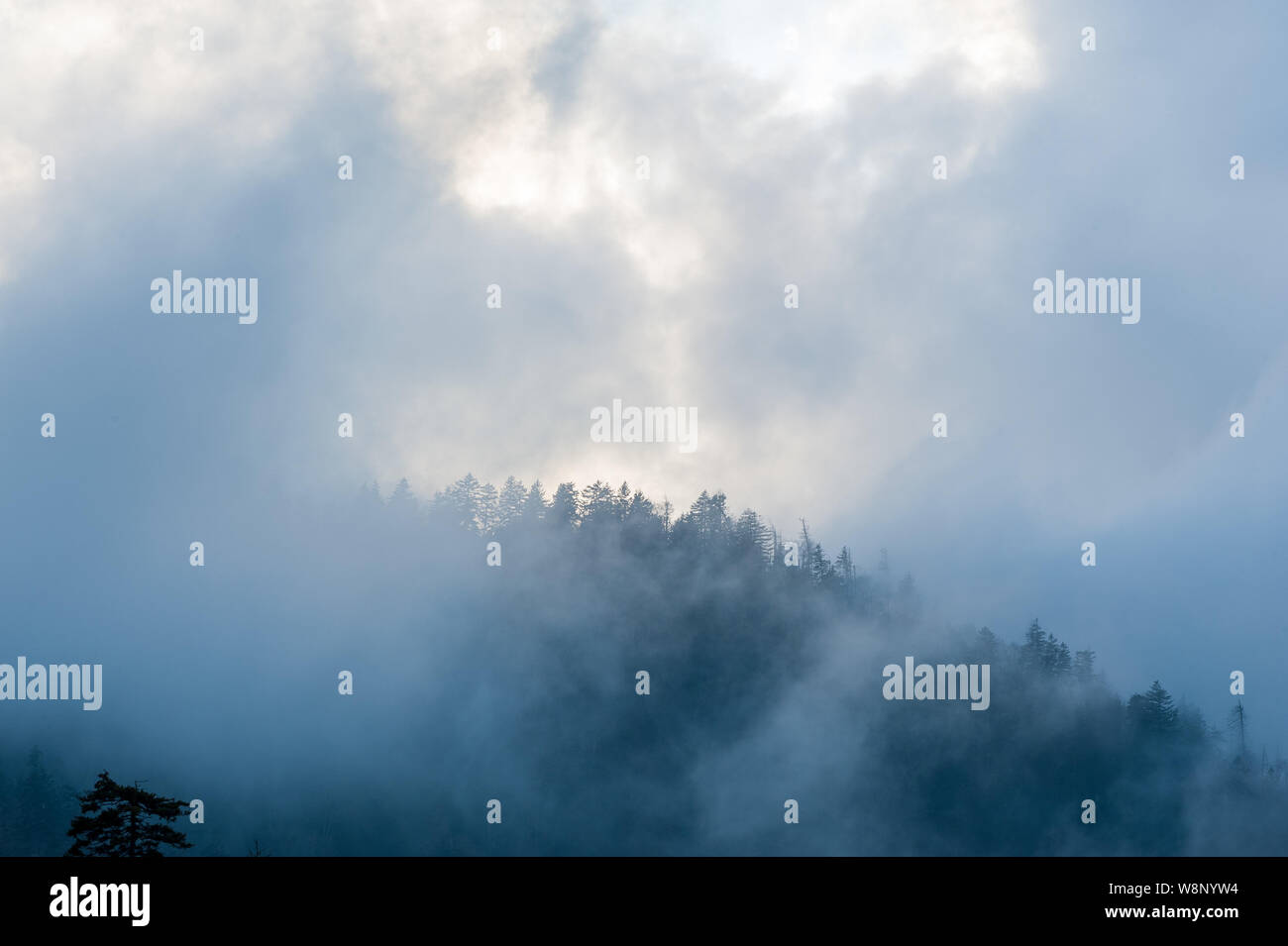 Mist and Smoke rises from the hills at Great Smoky Mountains National ...