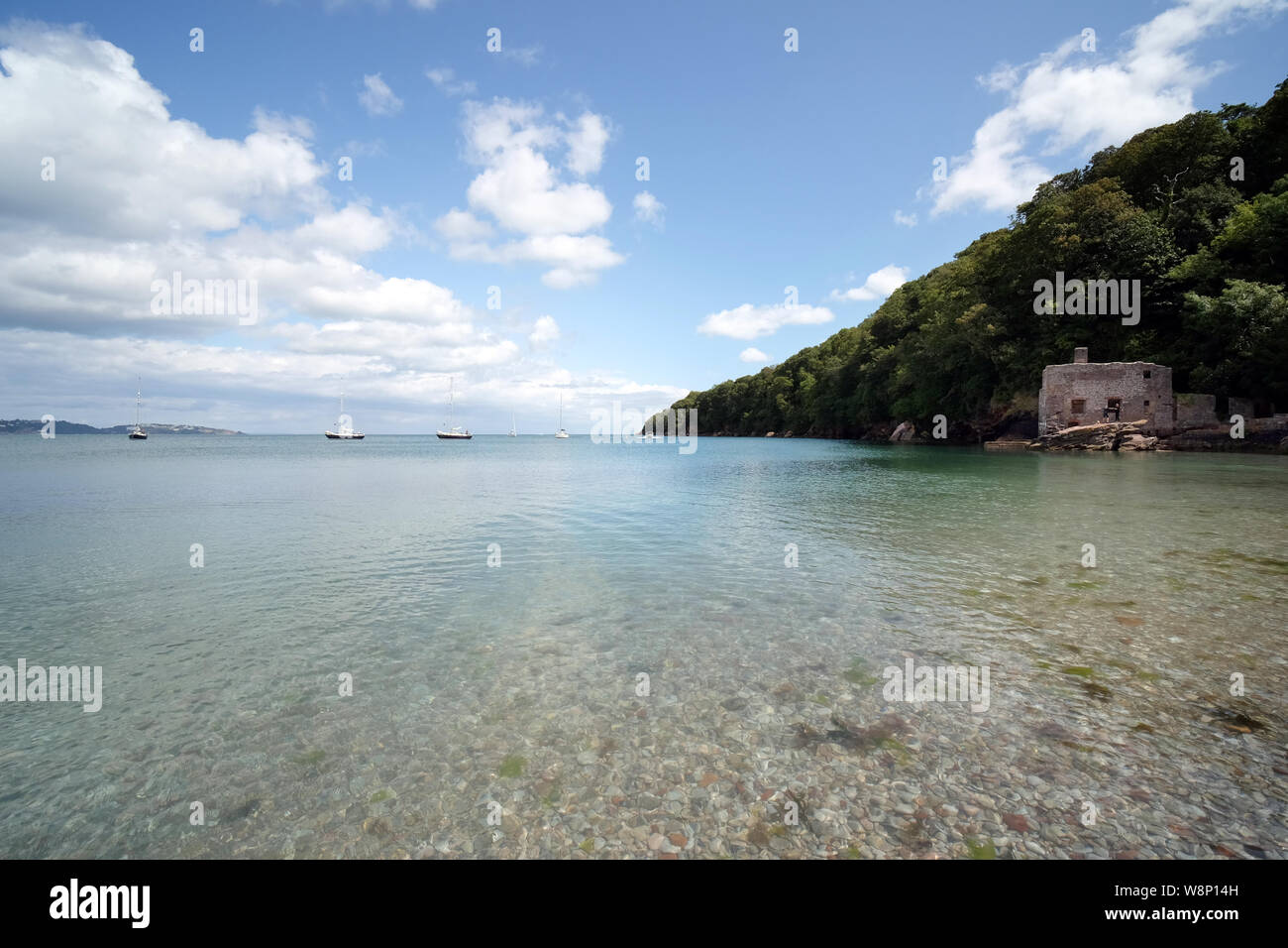 Sunny cove beach devon hi-res stock photography and images - Alamy