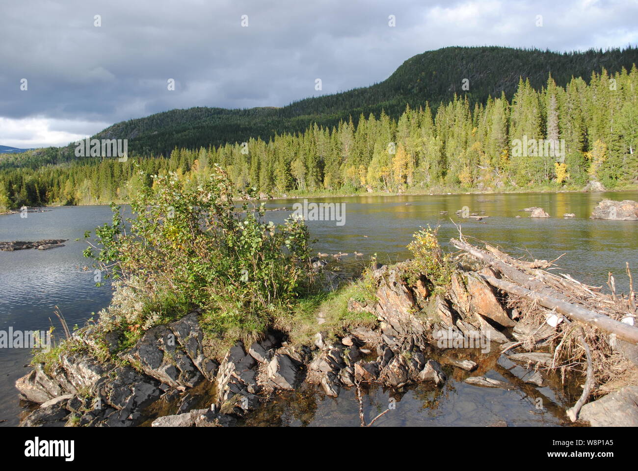 Lake with trees and rocks in the sun Stock Photo - Alamy