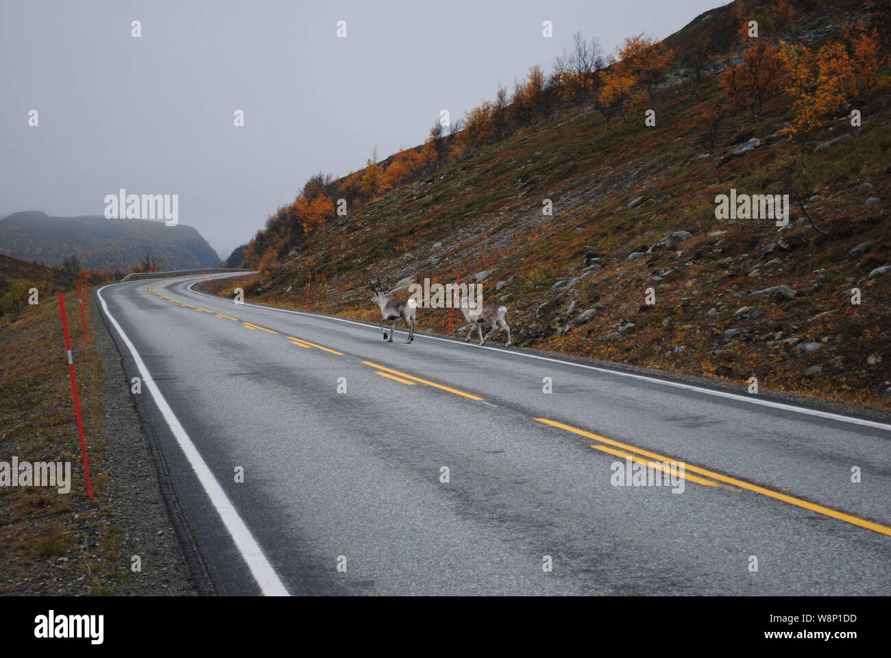 Walking on raod hi-res stock photography and images - Alamy