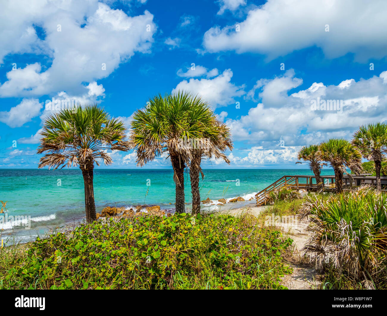 Summer day at the beach hi-res stock photography and images - Alamy