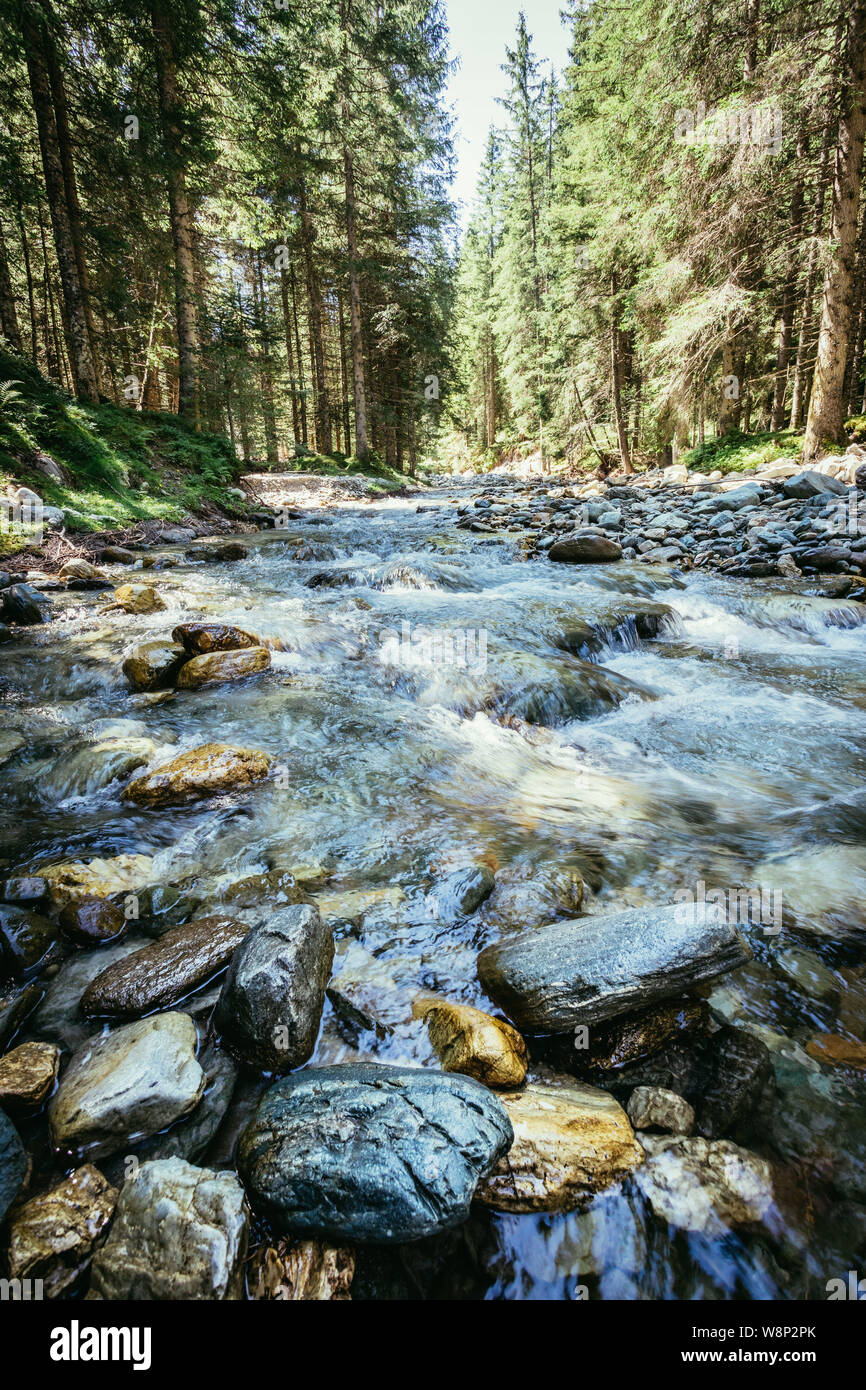 Beautiful river and forest landscape in the Alps, Austria Stock Photo ...