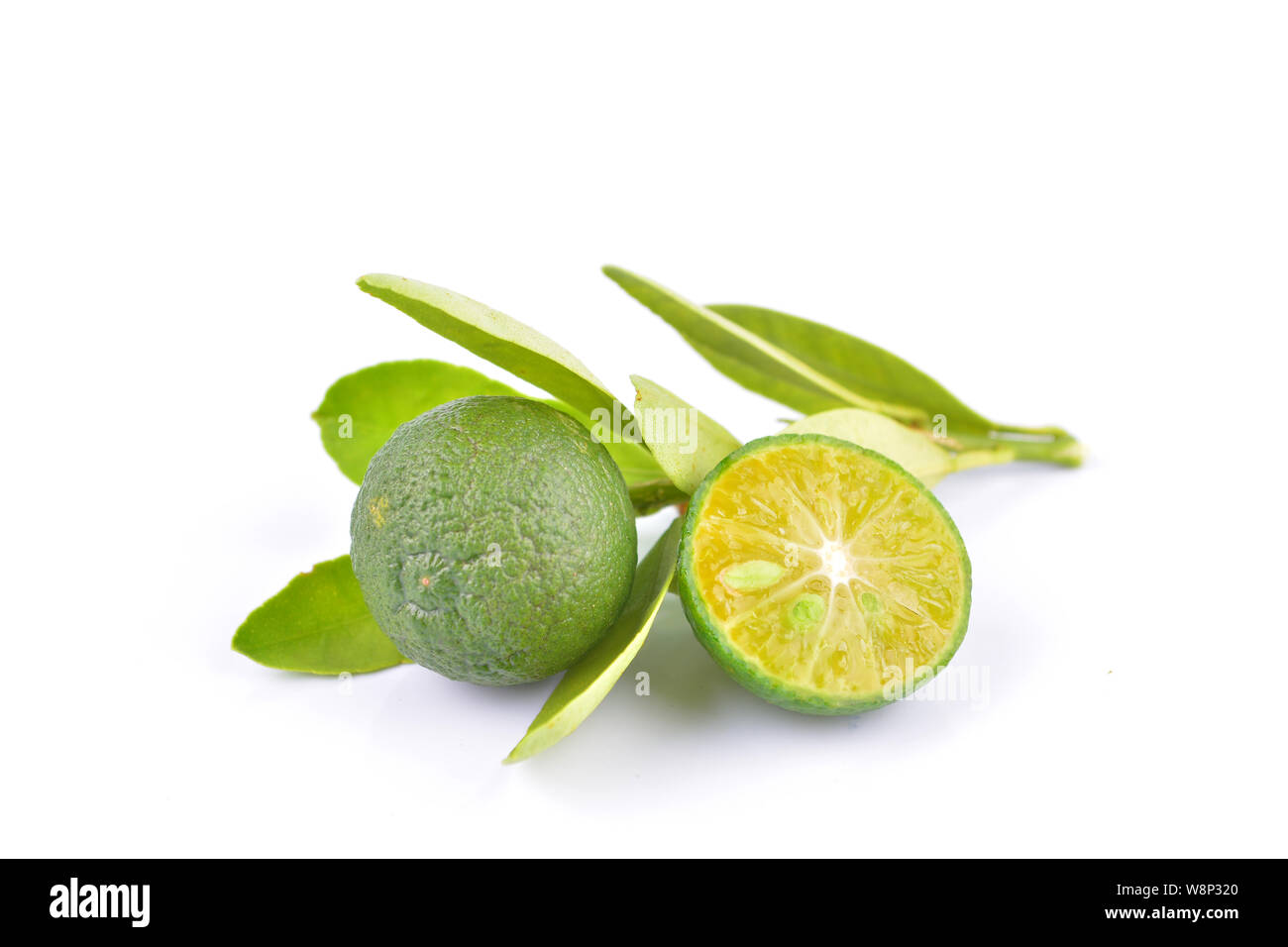 Calamansi on white background Stock Photo - Alamy