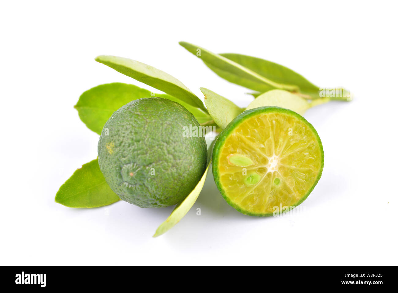 Calamansi on white background Stock Photo - Alamy