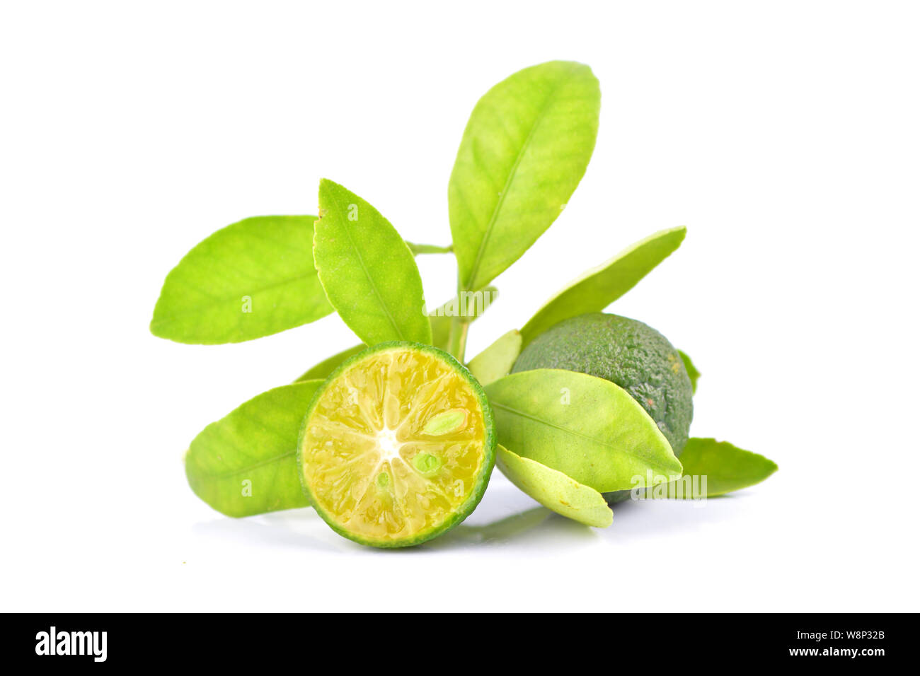 Calamansi on white background Stock Photo - Alamy