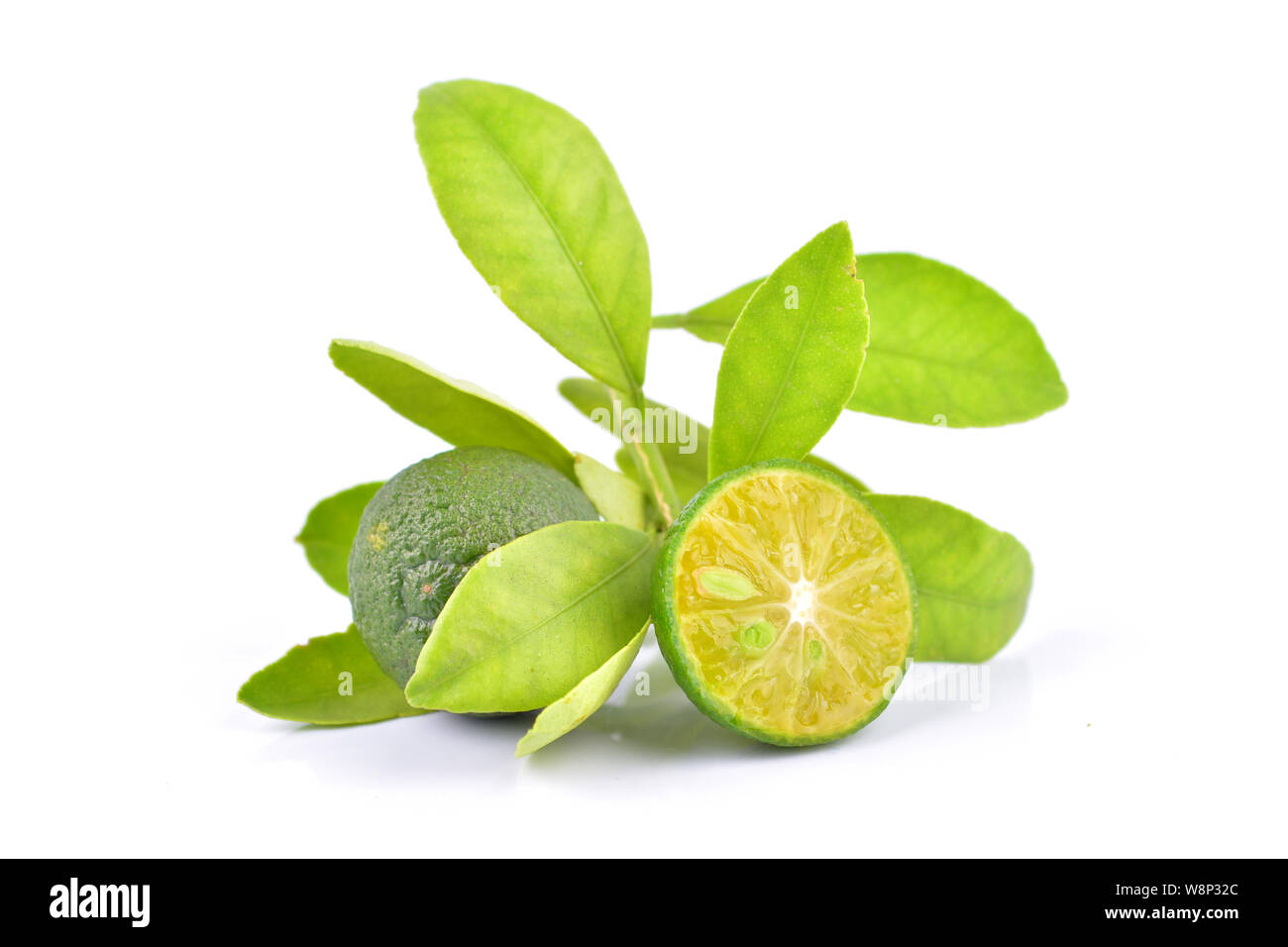 Calamansi on white background Stock Photo - Alamy