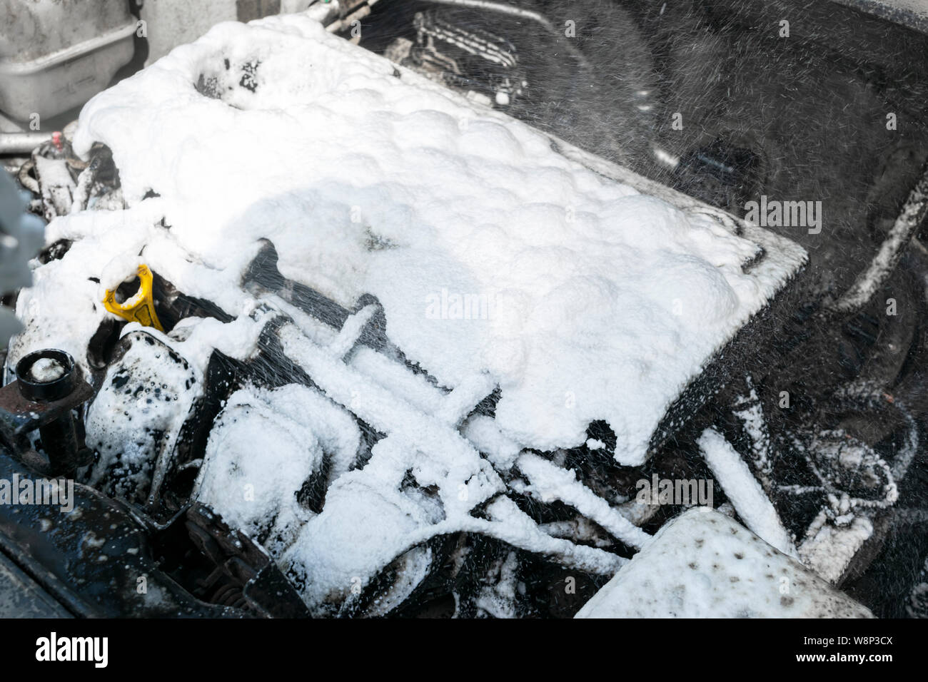 Cars in a carwash. Car wash with foam at station. Carwash. Washing at ...
