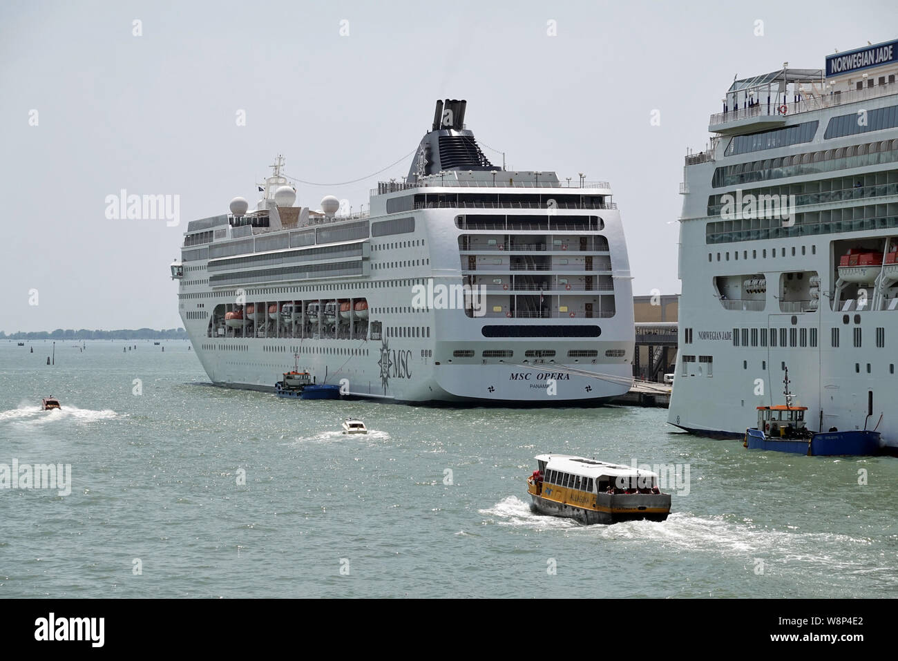 Msc jade hi-res stock photography and images - Alamy