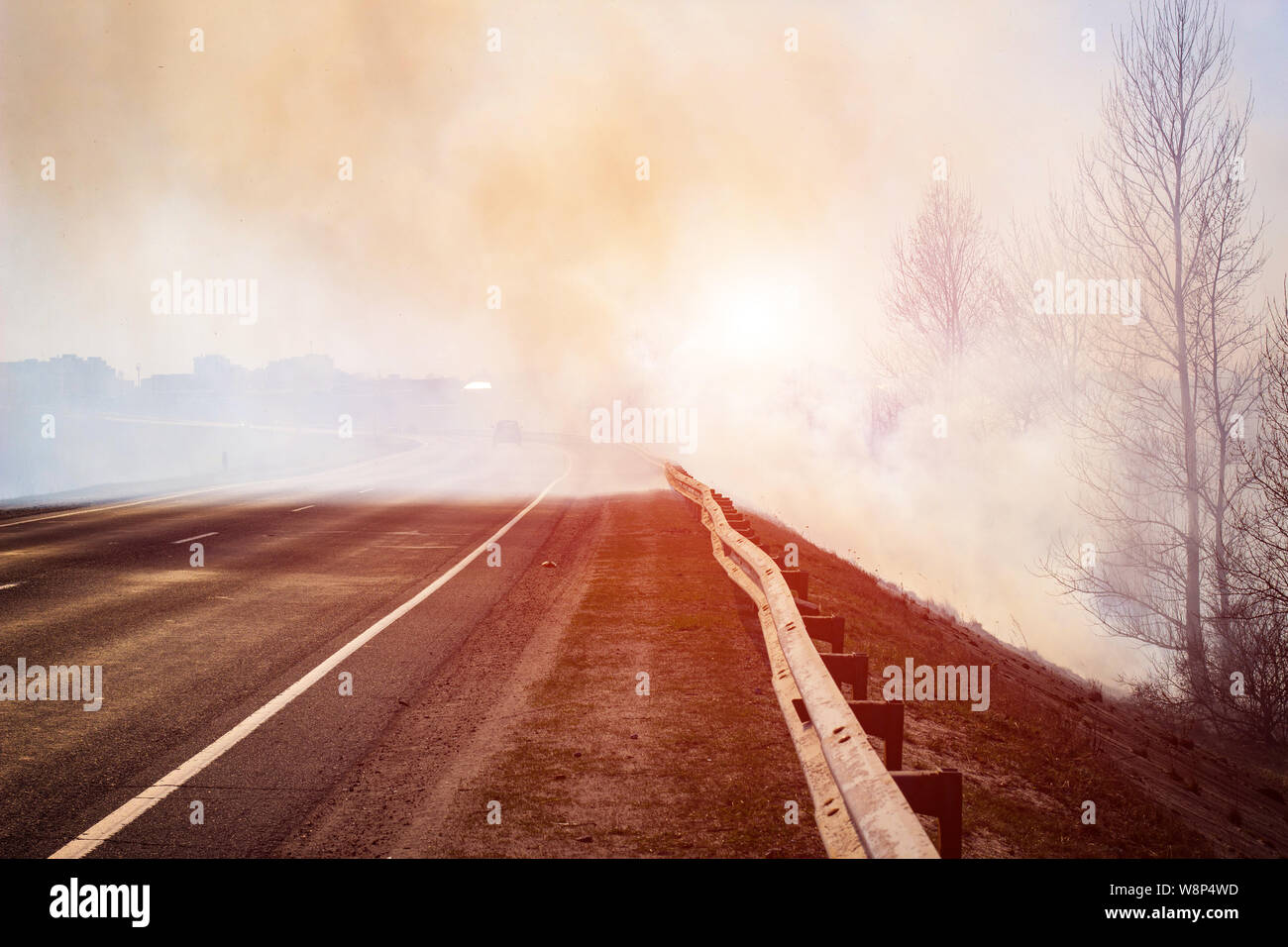 road in the smoke from forest fires on the background of the forest ...