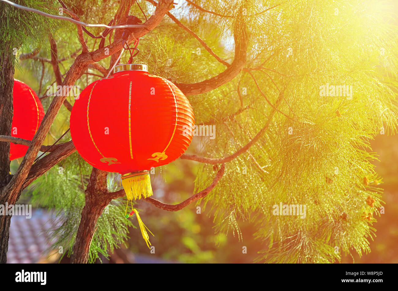 Chinese lamp hi-res stock photography and images - Alamy