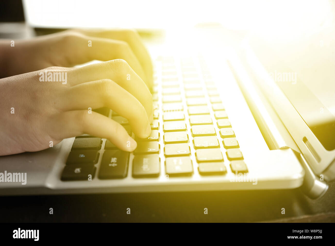 hands with laptop typing in sunlight Stock Photo - Alamy