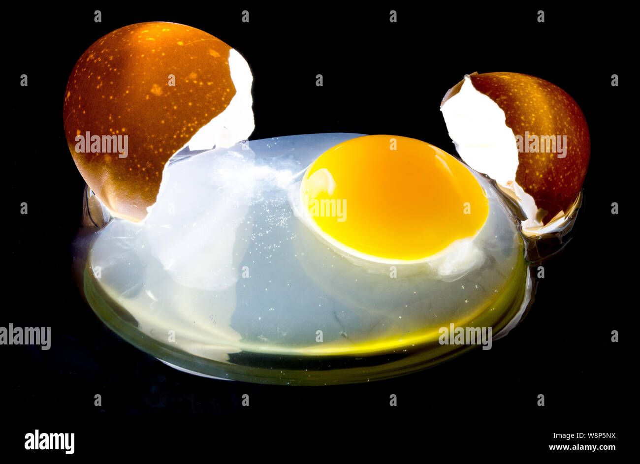 Still Life of a raw egg lit from below Stock Photo - Alamy