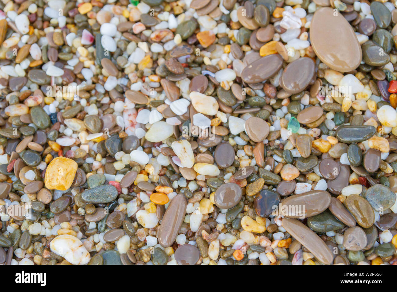 Sea stones on the seashore in the summer Stock Photo - Alamy