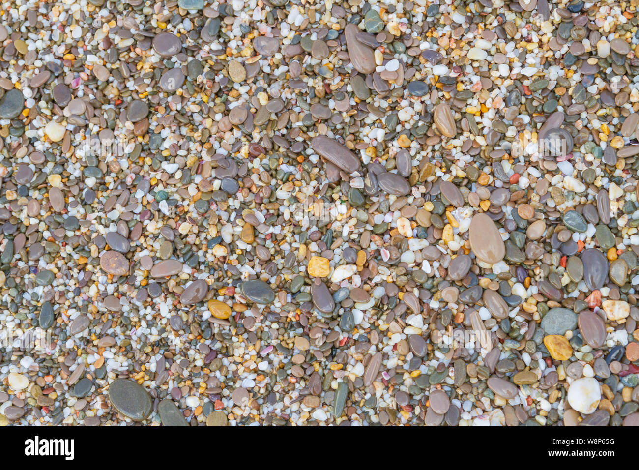Sea stones on the seashore in the summer Stock Photo - Alamy