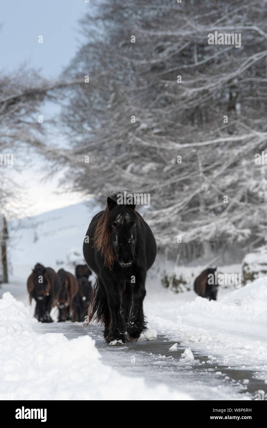 Cold agriculture hi-res stock photography and images - Alamy