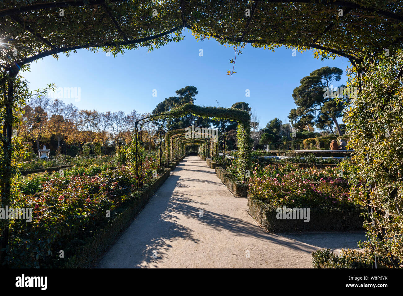 Rosaleda (rose-garden), Parque del Buen Retiro, Madrid, Spain Stock ...