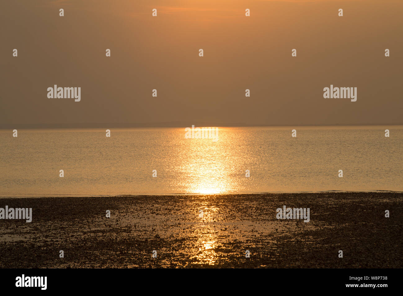 Whitstable beach walking hi-res stock photography and images - Alamy