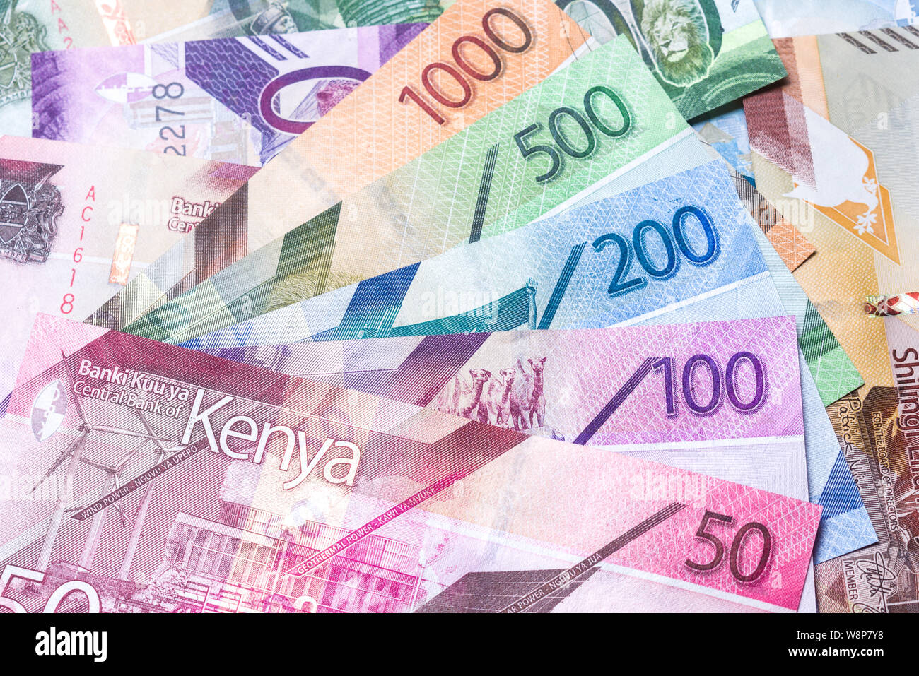 New 2019 Kenyan Shilling bank notes in various denominations Stock ...