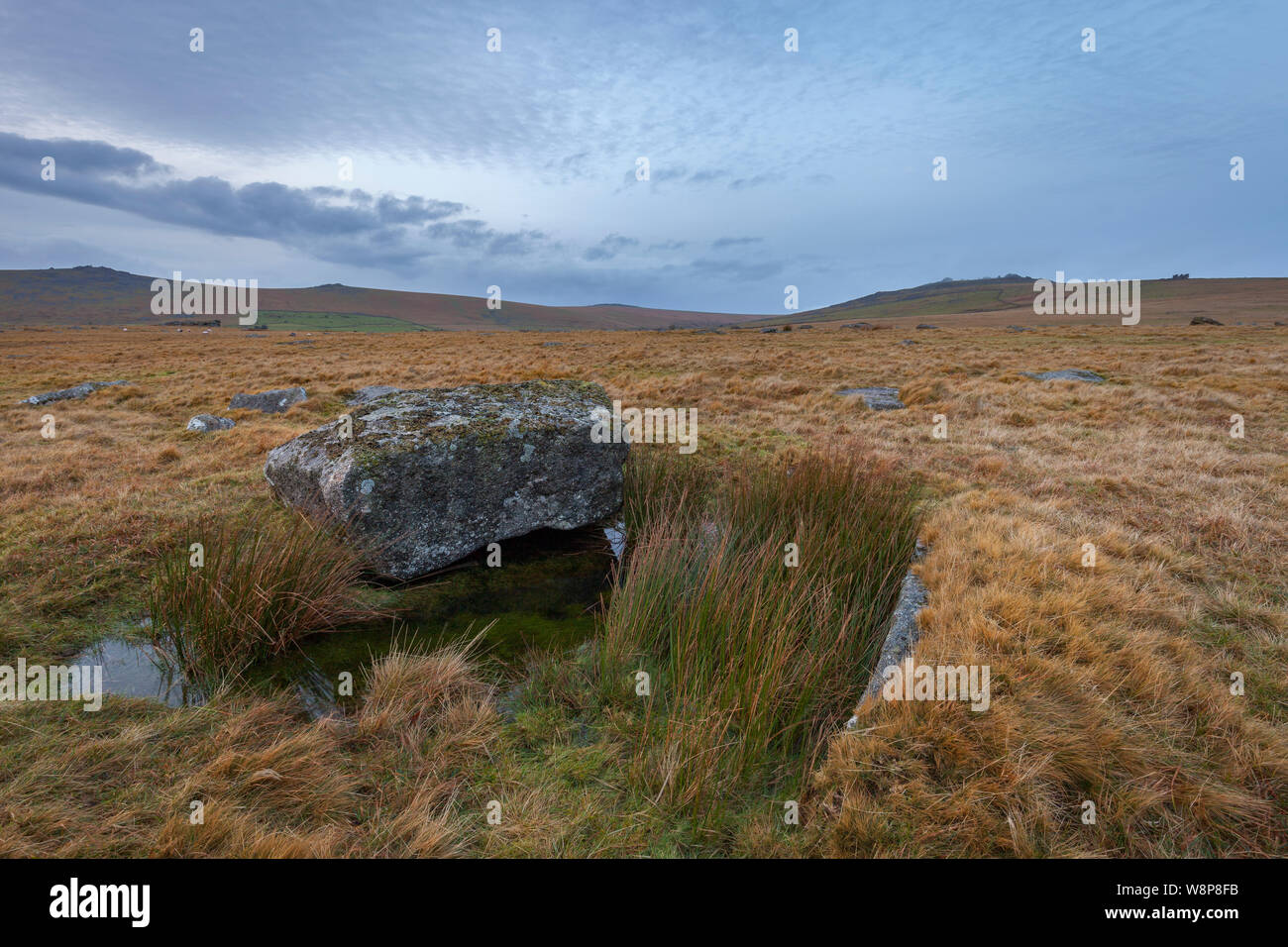 A pool of water is surrounded by bog and moorland on Great Mis Tor ...