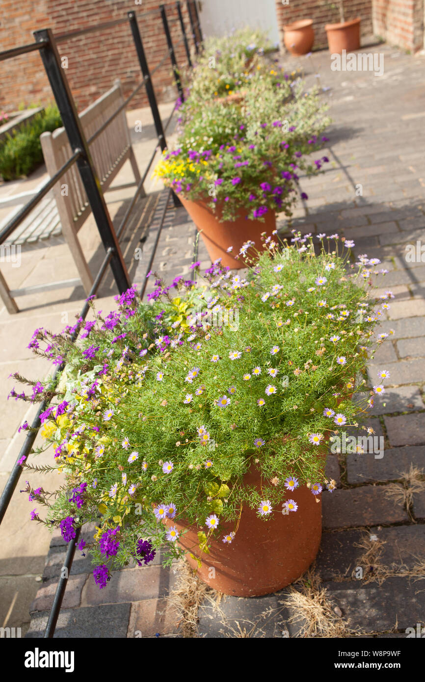 Wooden tubs of flowers hi-res stock photography and images - Alamy