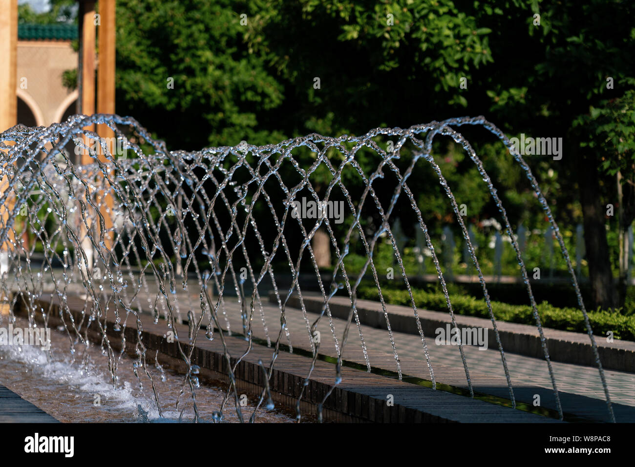 Sprinkling water hi-res stock photography and images - Alamy