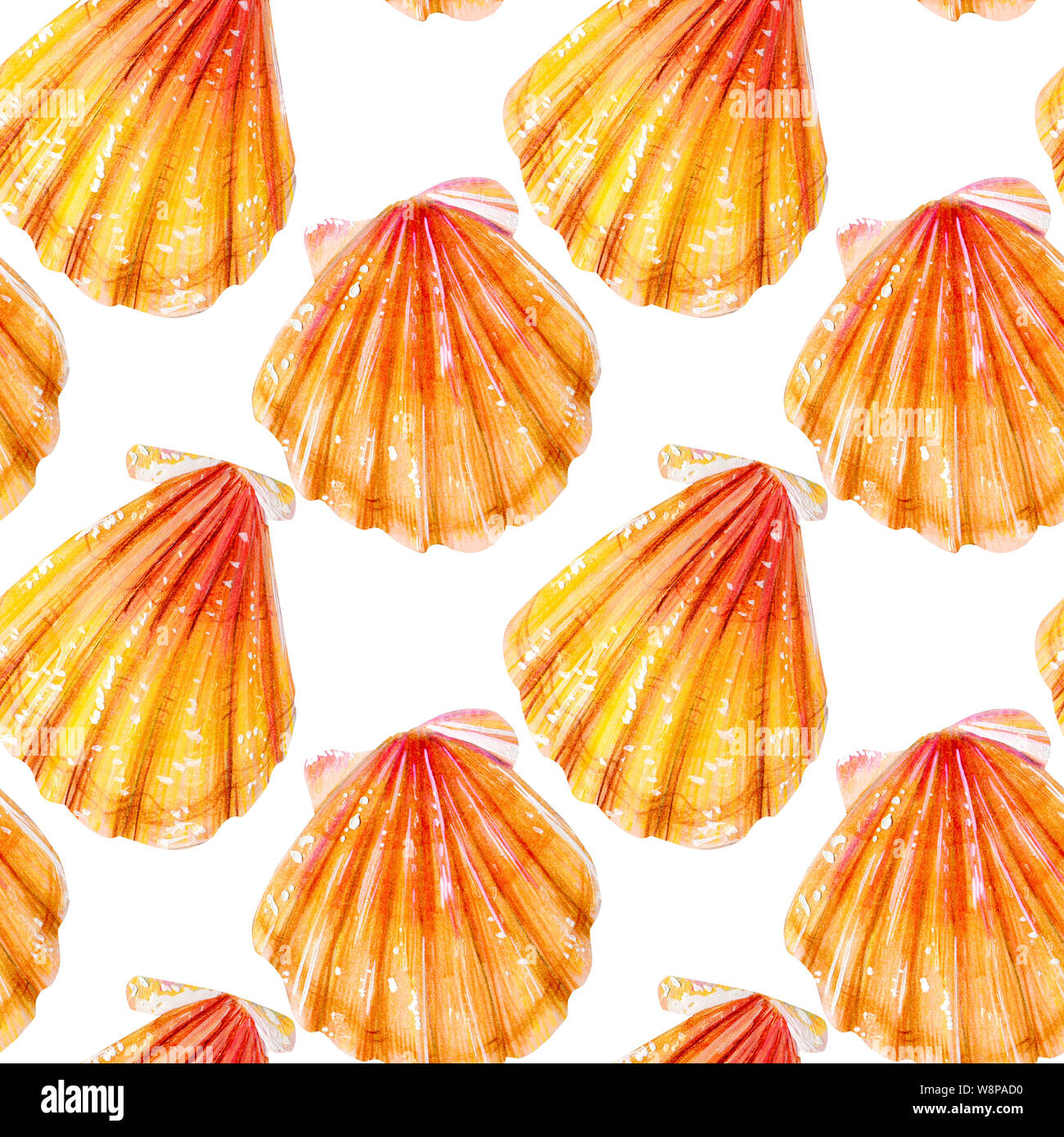 Seamless pattern of yellow scallops. Beige bivalve mollusk Pectinidae ...