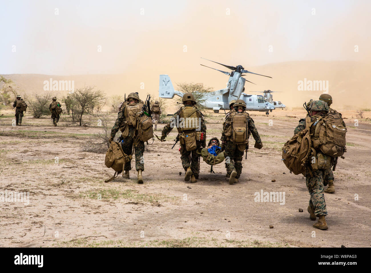 Quick reaction force training hi-res stock photography and images - Alamy